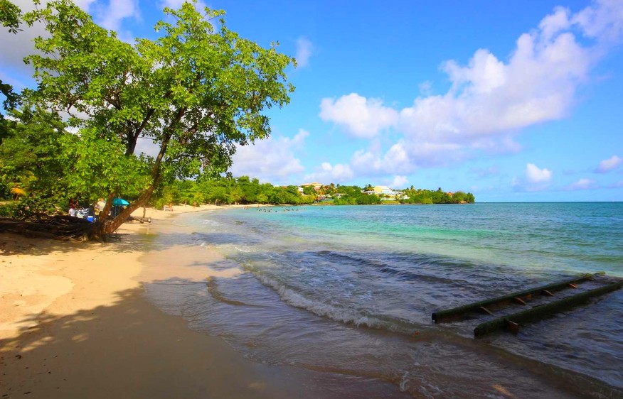 Find Anse Mabouya: a wild and preserved beach Martinique thanks to VillaVEO