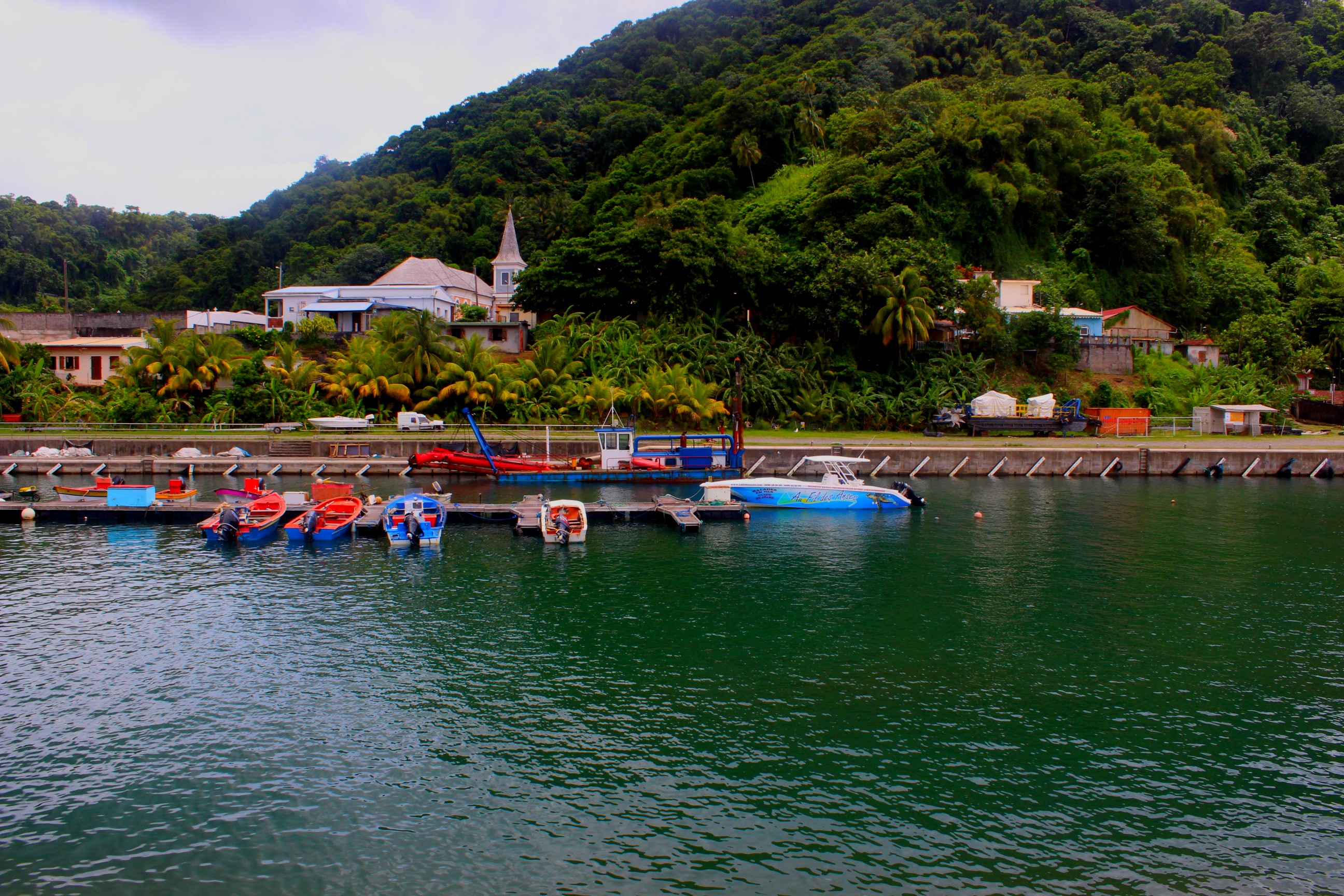 Location vacances Grand Rivière I Séjour nord Martinique | Villaveo