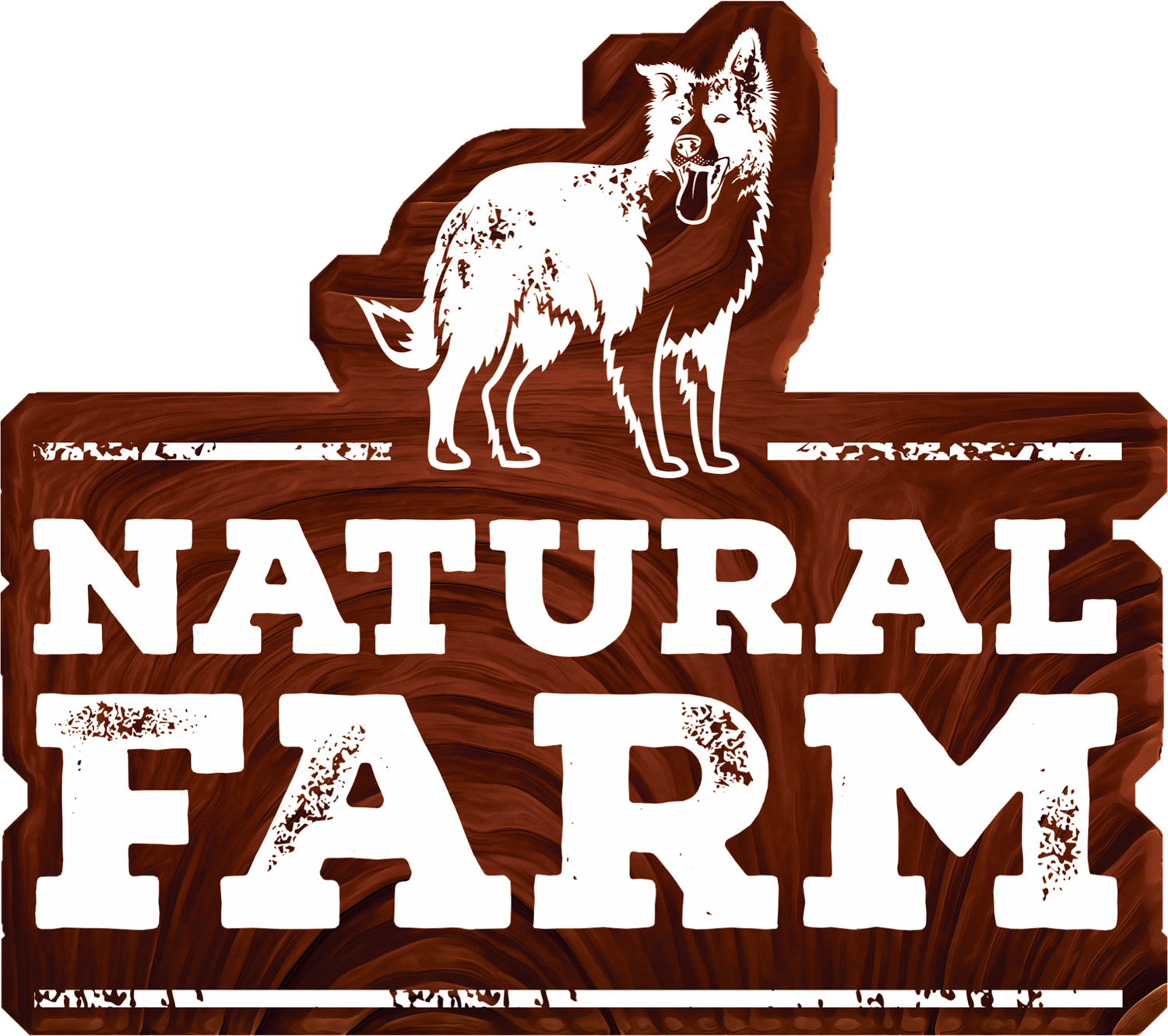 Trade Show Products, Services, Show Management - EXHIB-IT!