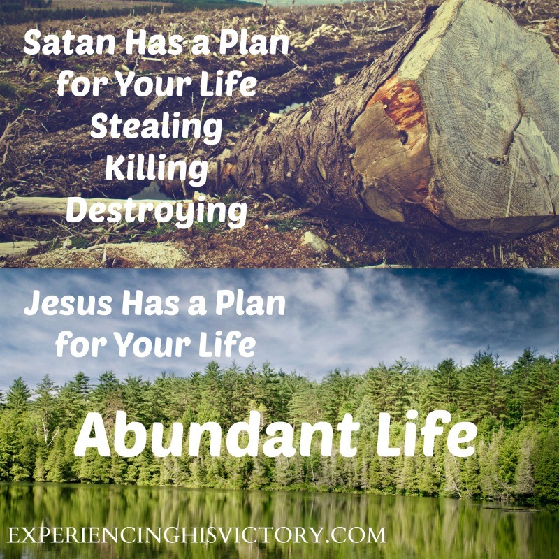 God Has a Plan Image - Experiencing His Victory