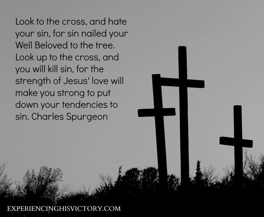 [Image] Look to the Cross - Experiencing His Victory