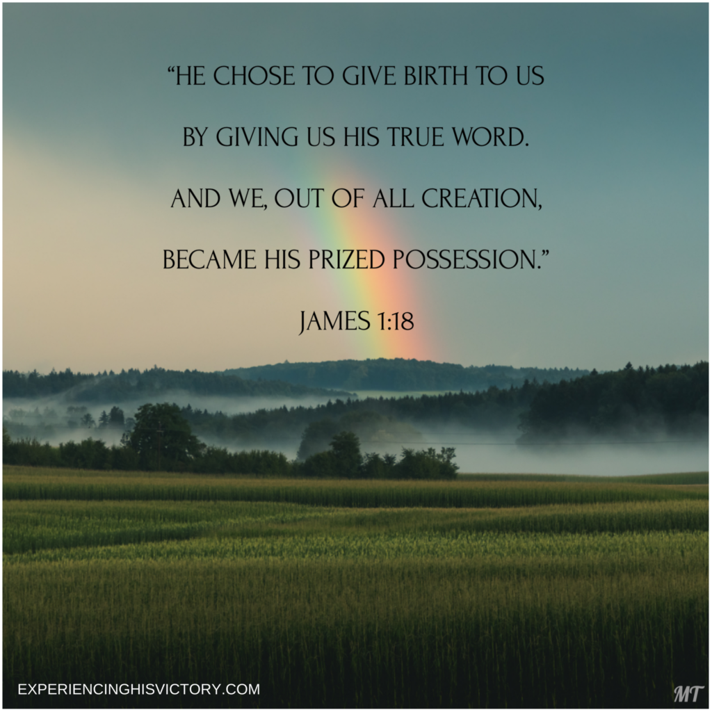 God's Prized Possession [image] - Experiencing His Victory