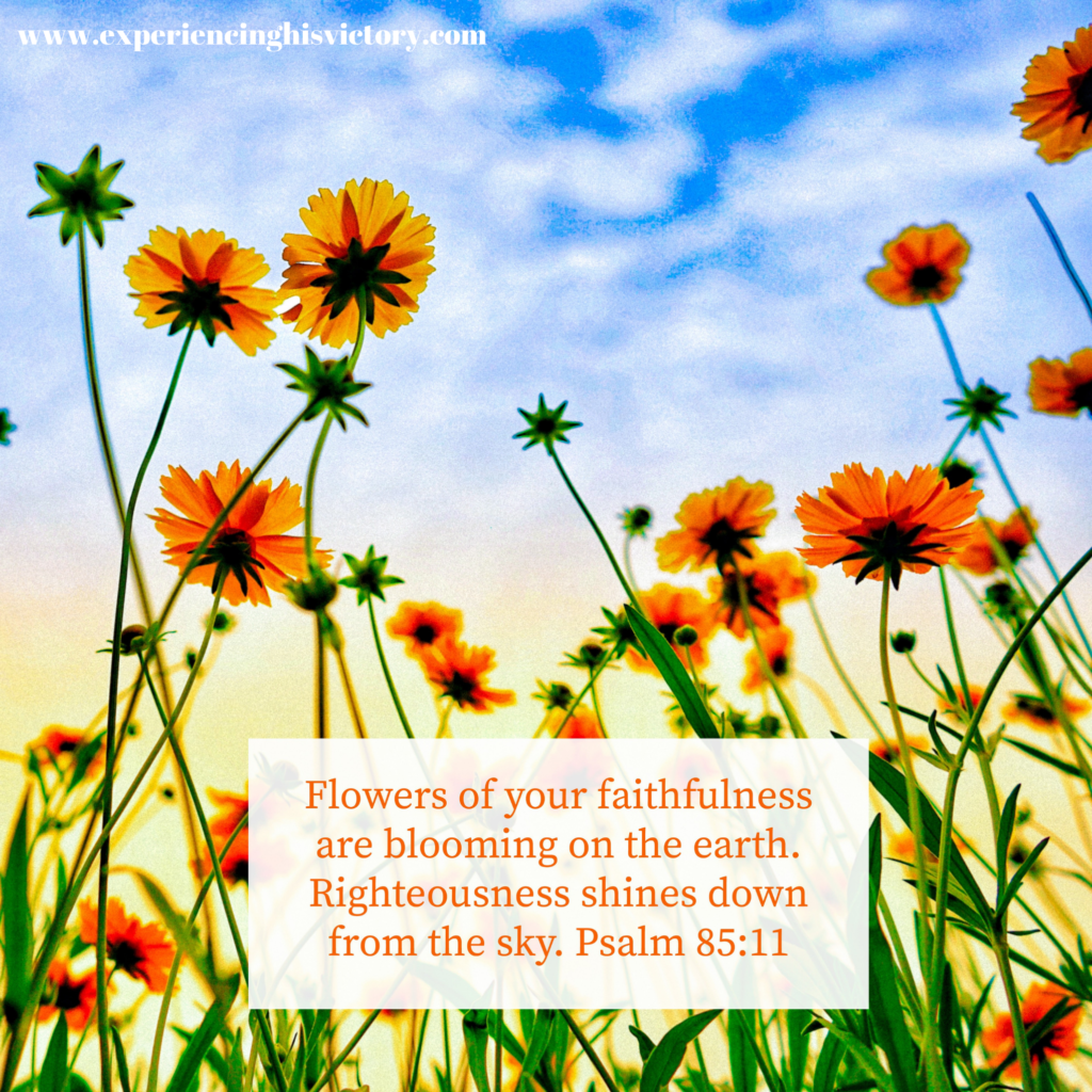 Flowers of Your Faithfulness [Image] - Experiencing His Victory