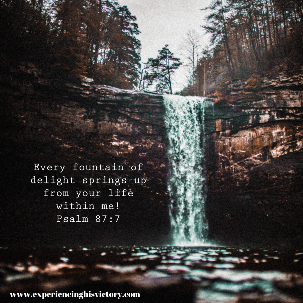 every-fountain-of-delight-image-experiencing-his-victory
