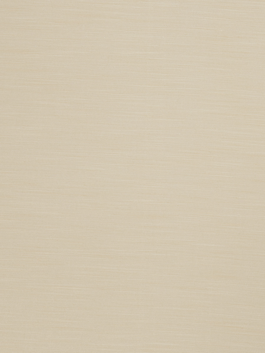 02999 Sand | Fabric | Trend