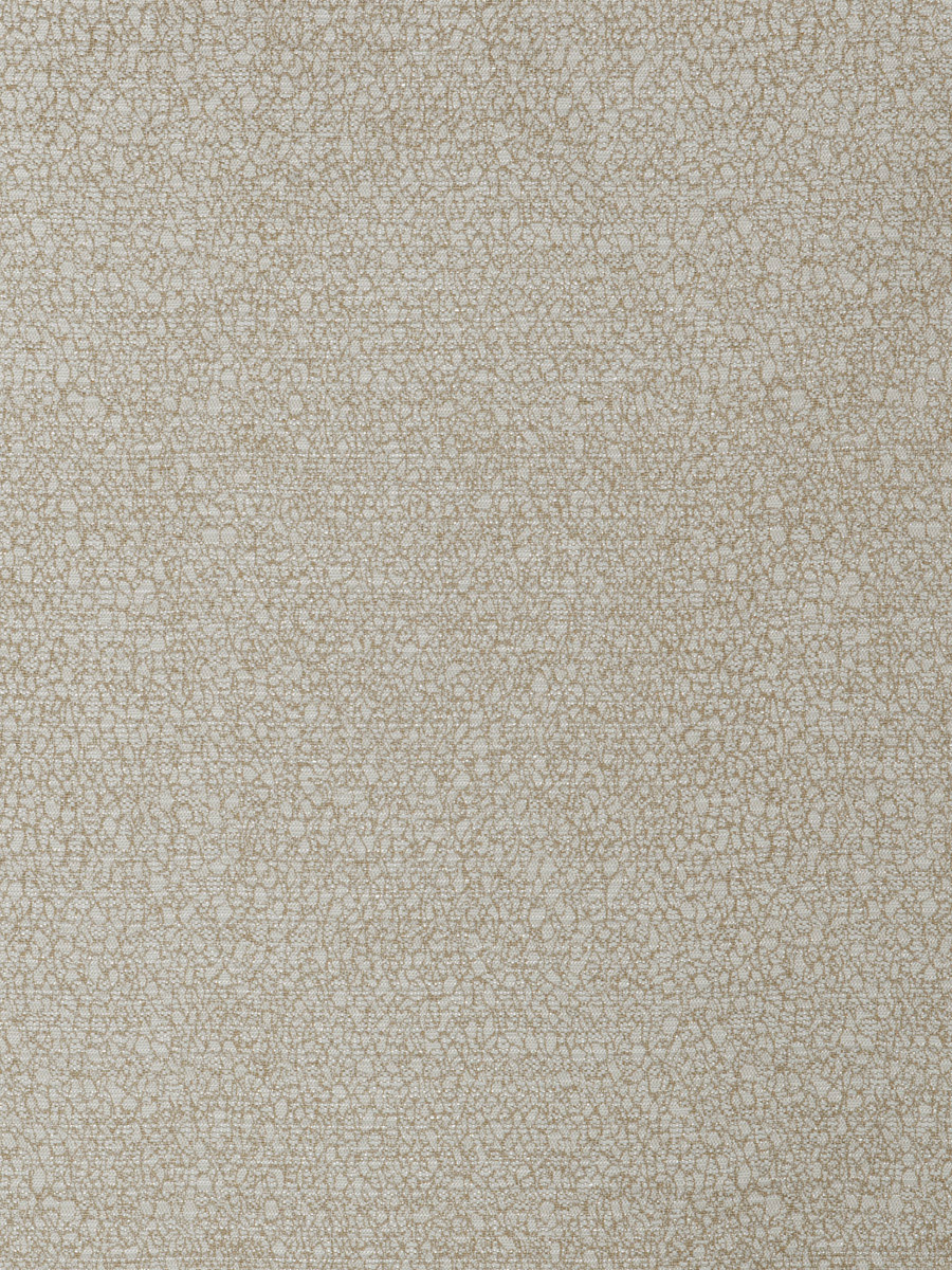 04404 Bone | Fabric | Trend