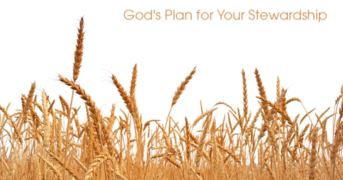 Stewardship of Humility | Faith Ministries Resources