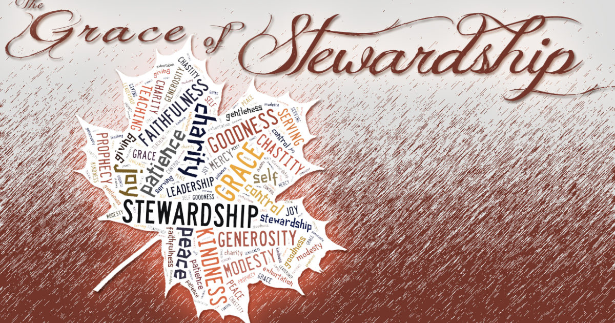 Stewardship of Service | Faith Ministries Resources