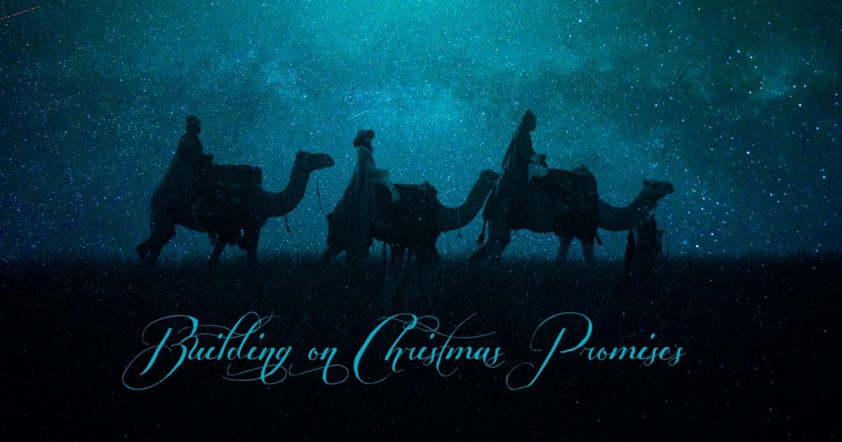 Jesus - The Promised Messiah | Faith Ministries Resources