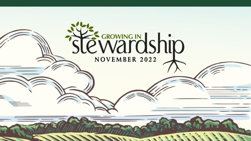 Resources | Faith Ministries Resources