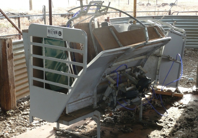 Ketchum Sheep Handling Equipment