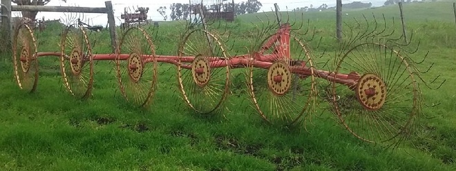 Tonutti 3PL 6 Wheel Hay Rake | Machinery & Equipment - Hay and