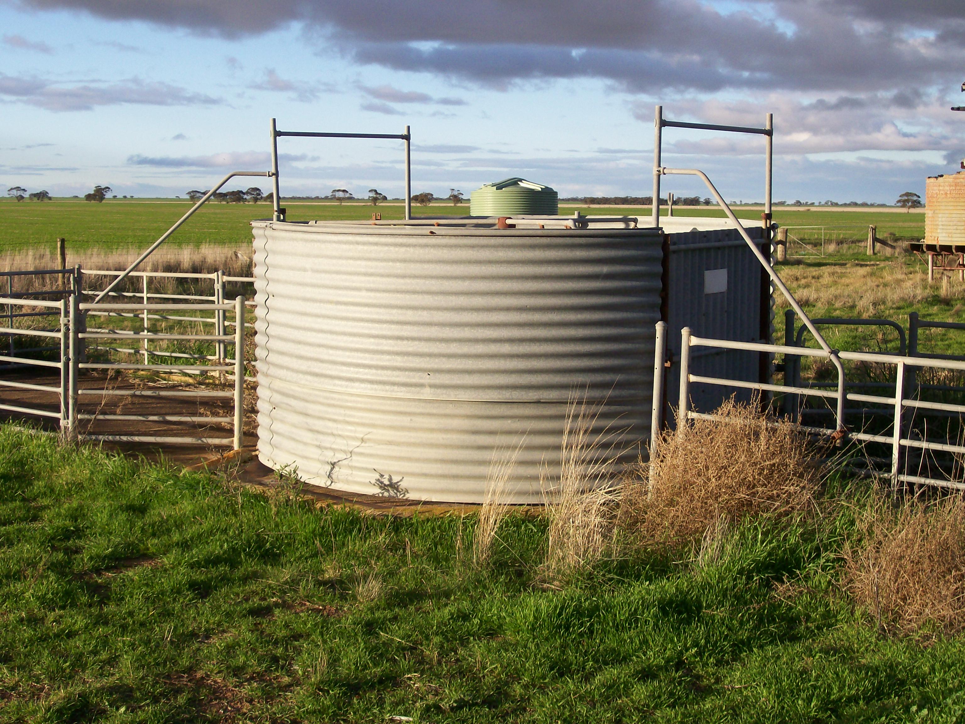Mobile Sheep Shower at Cory Tack blog