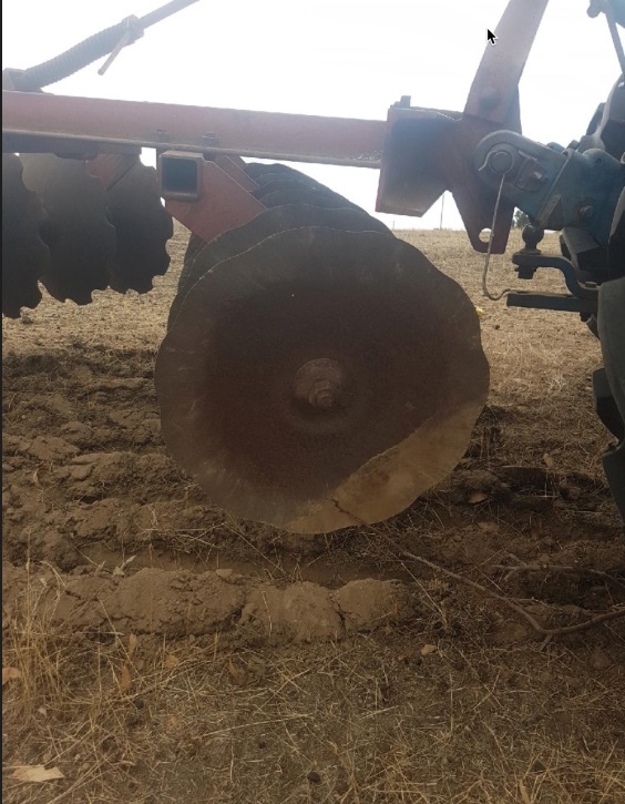 Offset Discs | Machinery & Equipment - Tillage and Seeding For