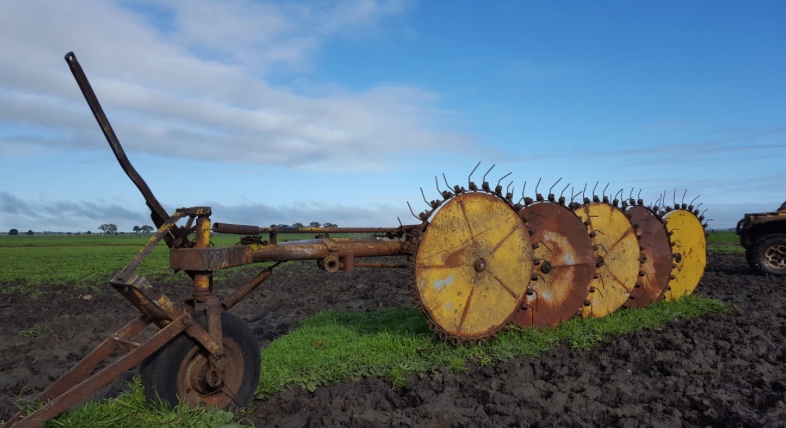 Bamford Hay Rake - 5 Wheel | Machinery & Equipment - Hay and