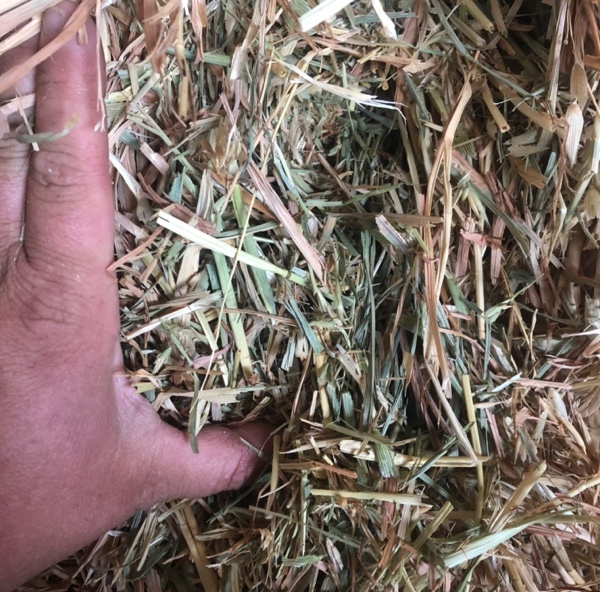 Auctions | Farm Tender