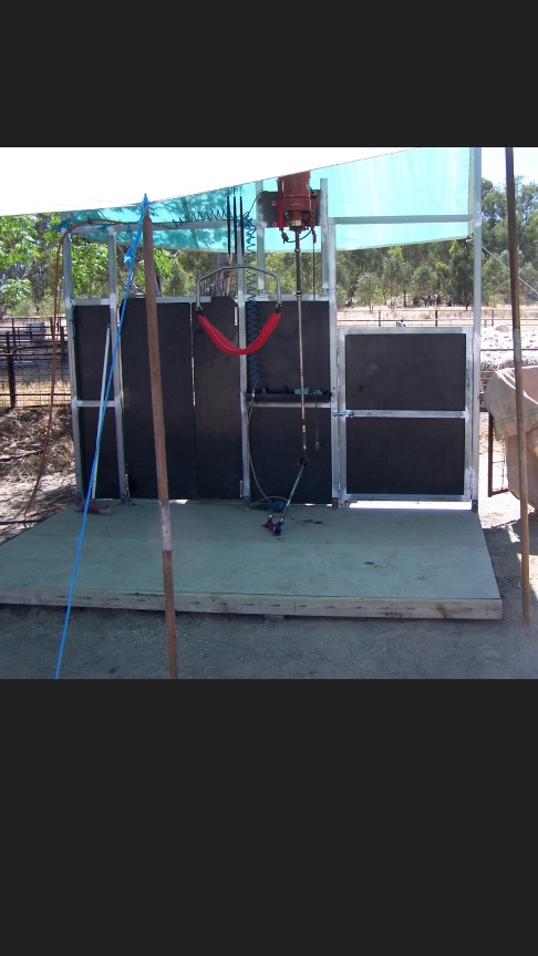 Single shearing stand | Livestock Equipment - Wool and Shearing