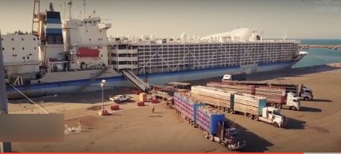Video - Loading Sheep on a ship at | Farm Tender "Prime"