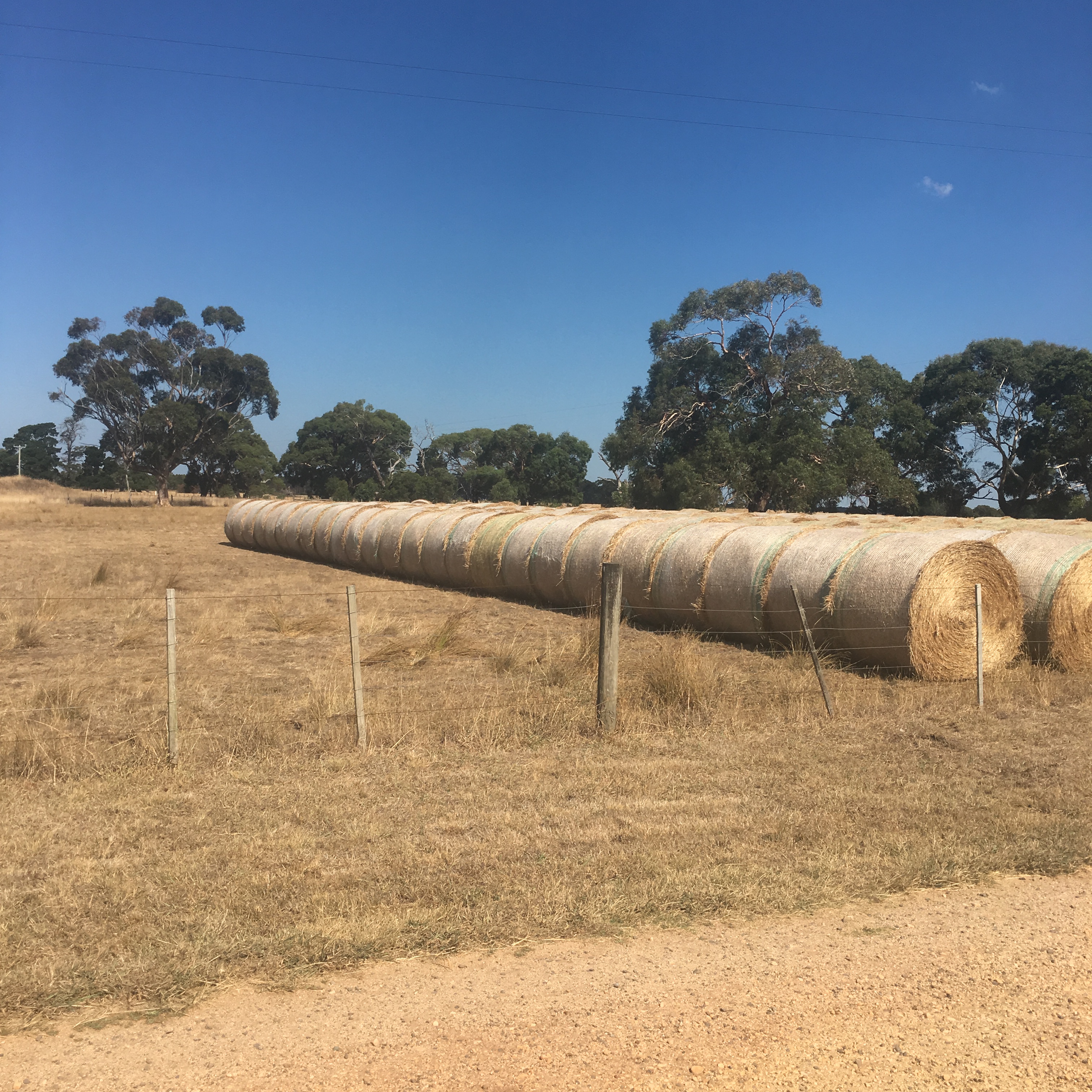 200 X Ryegrass Straw Round Bales Hay And Fodder Rye Grass Hay