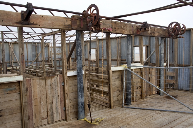 Cooper Two Stand Overhead Shearing Plant | Livestock Equipment