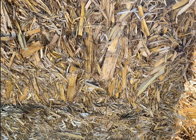 Corn Straw | Hay & Fodder - Straw For Sale