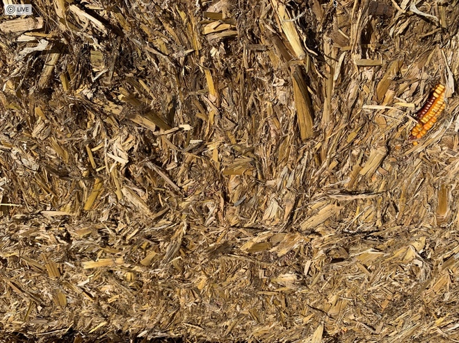 Corn Straw | Hay & Fodder - Straw For Sale