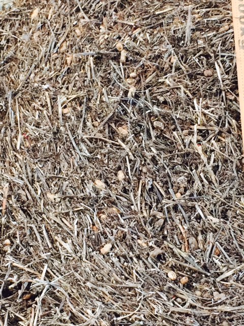 Peanut Hay | Hay & Fodder - Pasture Hay For Sale