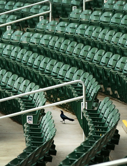 Revised schedule for Fantasy Baseball Index Cheat Sheet Updates ...