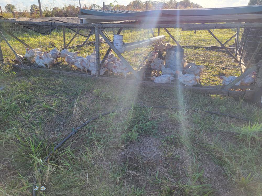 Radiant Farms - FarmMatch