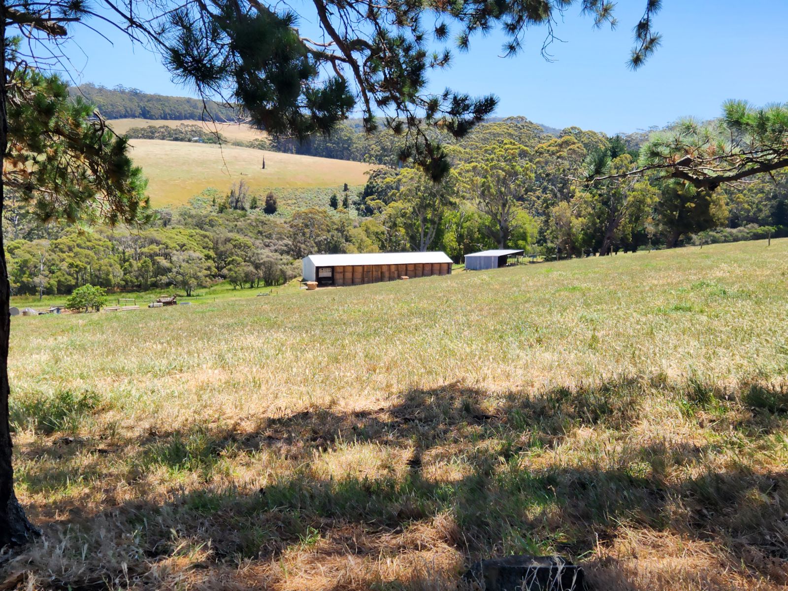 Farm For Sale in North Walpole, WA 6398 | 281 Bridge Road