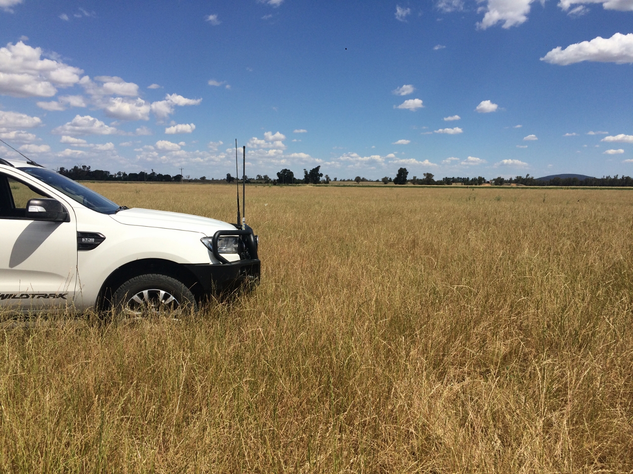 Farm For Sale in Billimari, NSW 2804 | 'bayview' Windowrie Road