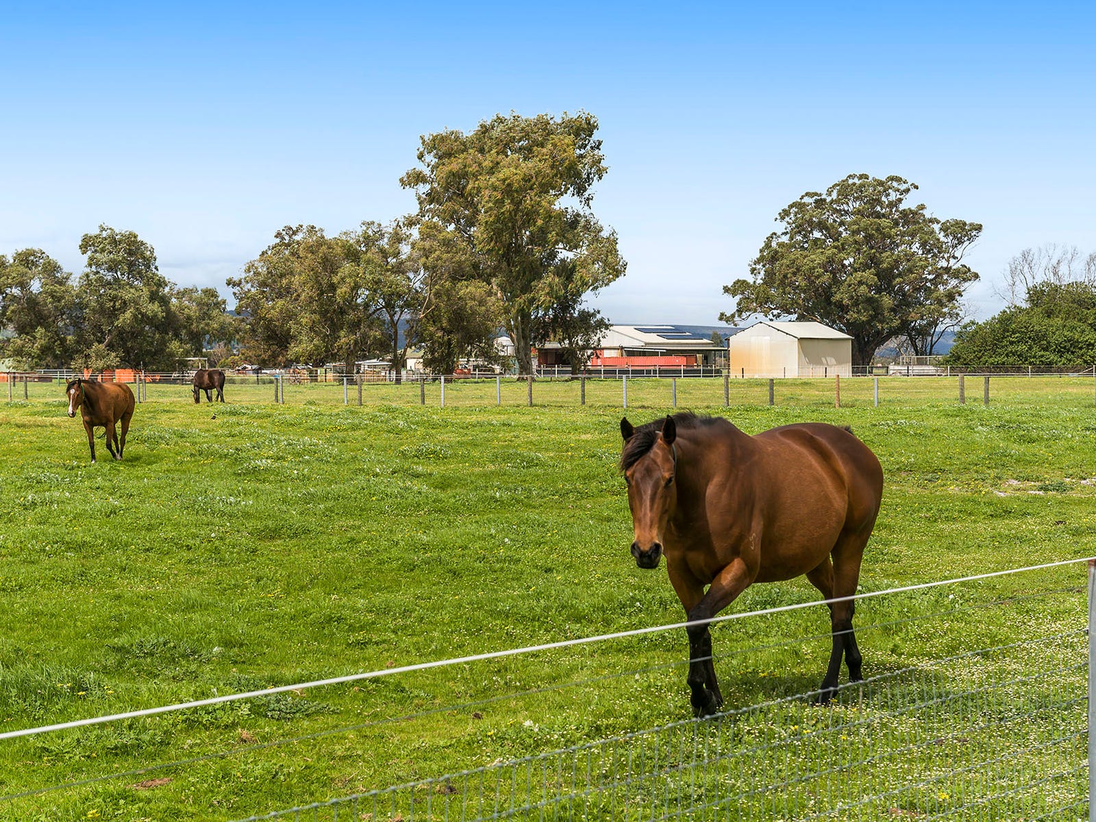 Farm For Sale in Bullsbrook, WA 6084 | 24 Gaston Road
