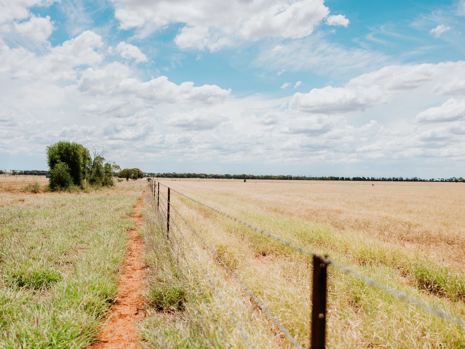 Farm For Sale in Tarawera, Qld 4494 | "bullamakinka" 781 Springmount Road