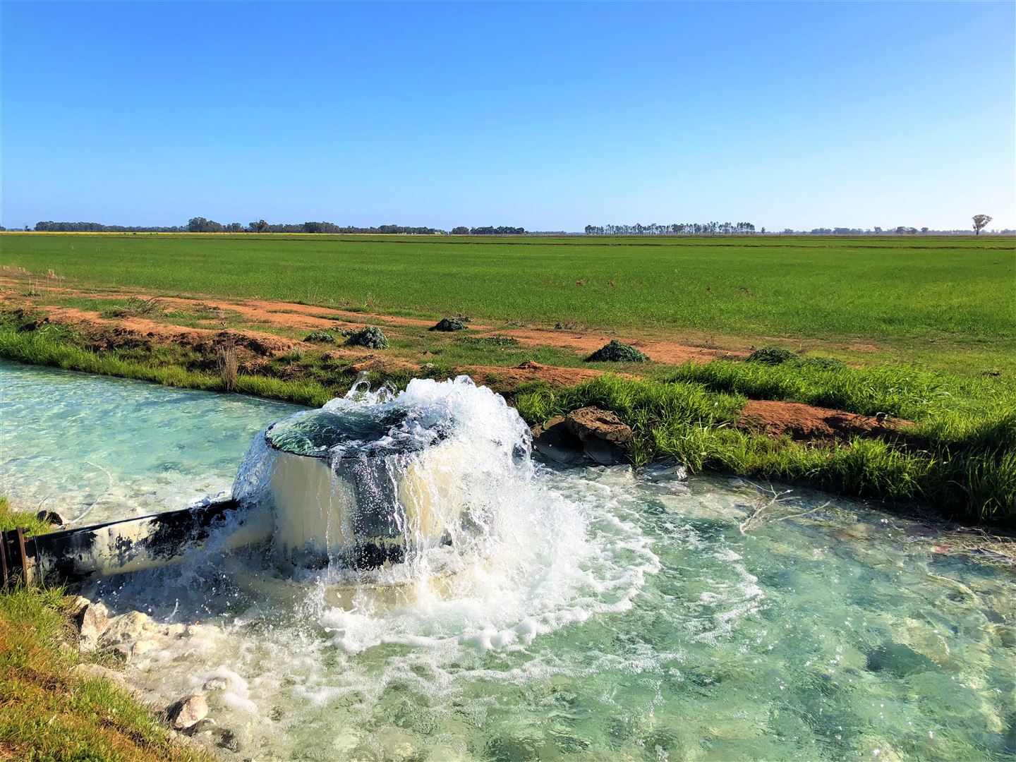 Farm For Sale in Blighty, NSW 2713 | . Reatta