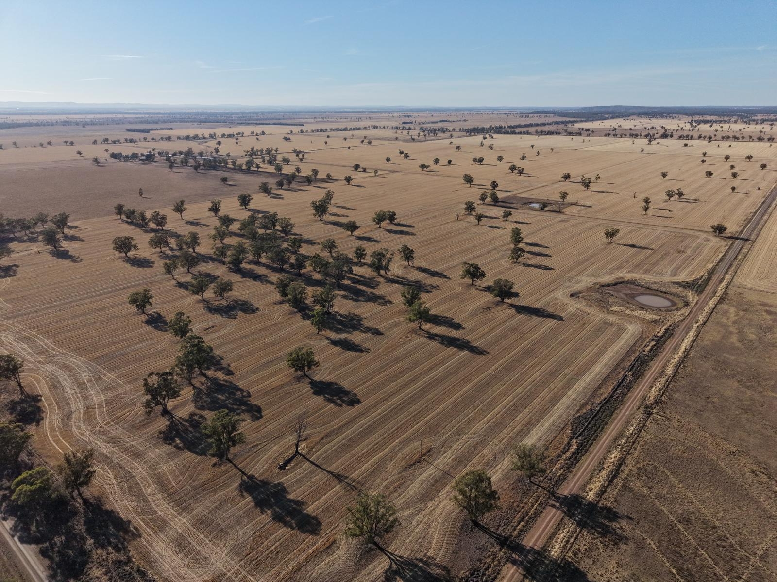 Farms For Sale in NSW - View Current Farm Listings For Sale