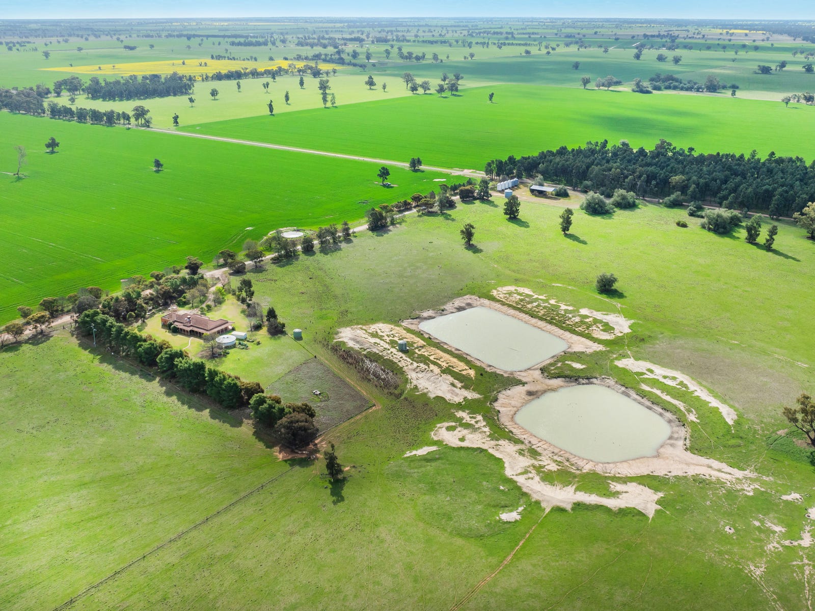 Farm For Sale in Coreen, NSW 2646 | 185 Coreen School Rd