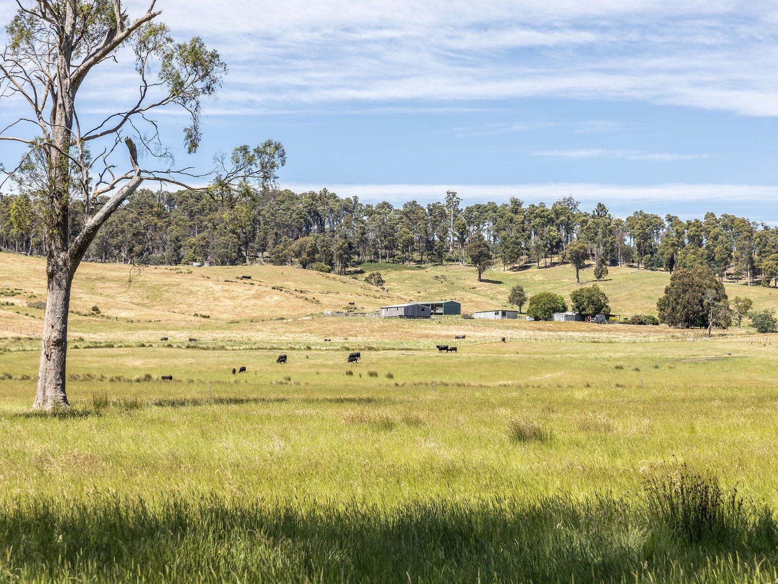 Farms For Sale in TAS - View Current Farm Listings For Sale