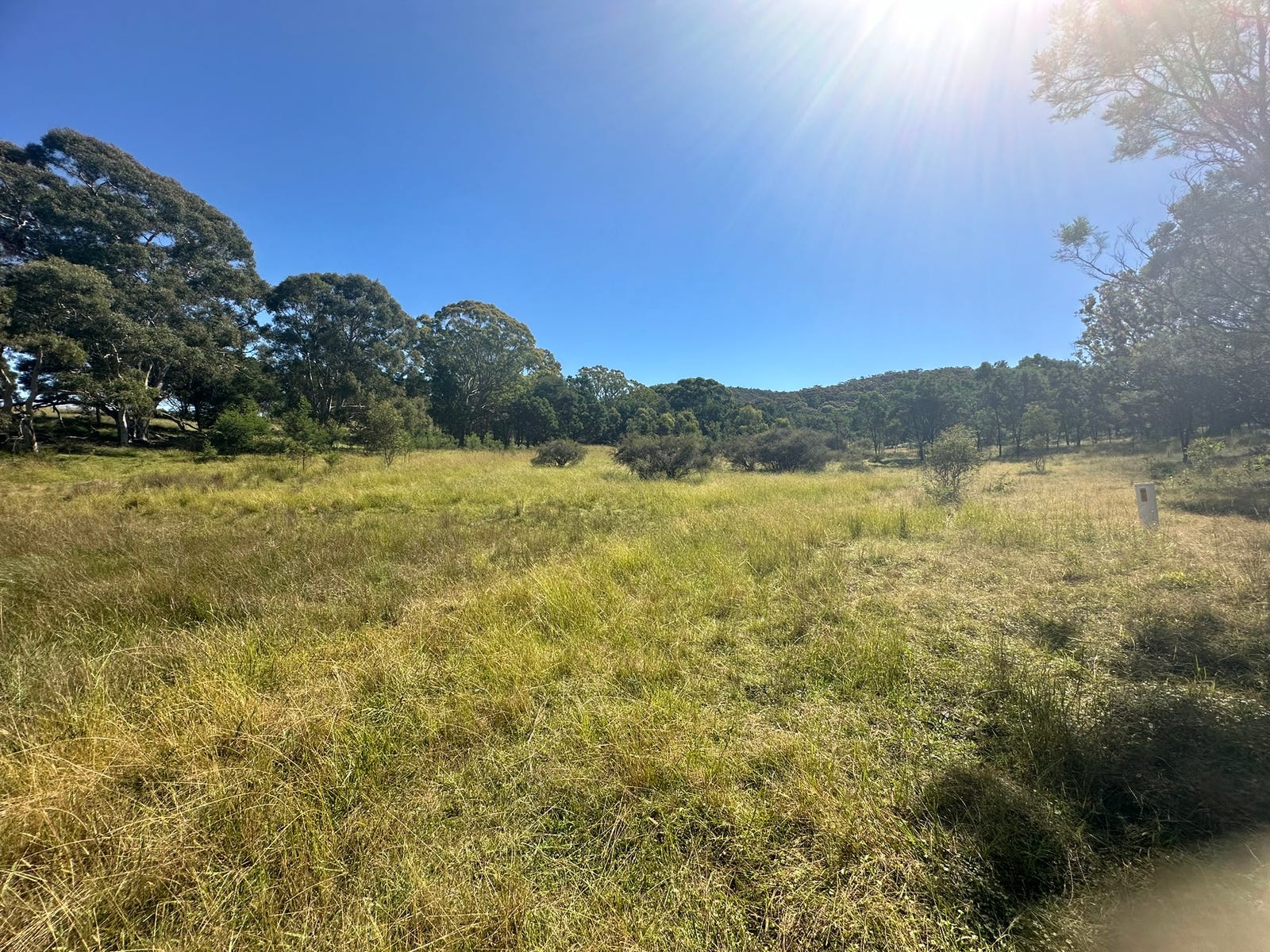 Farm For Sale in Braidwood, NSW 2622 | 2/371 Mayfield Road