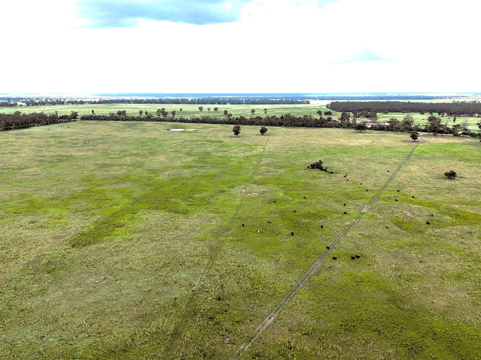 Farm For Sale in Wee Waa, NSW 2388 | 1857 Stumpy Lane