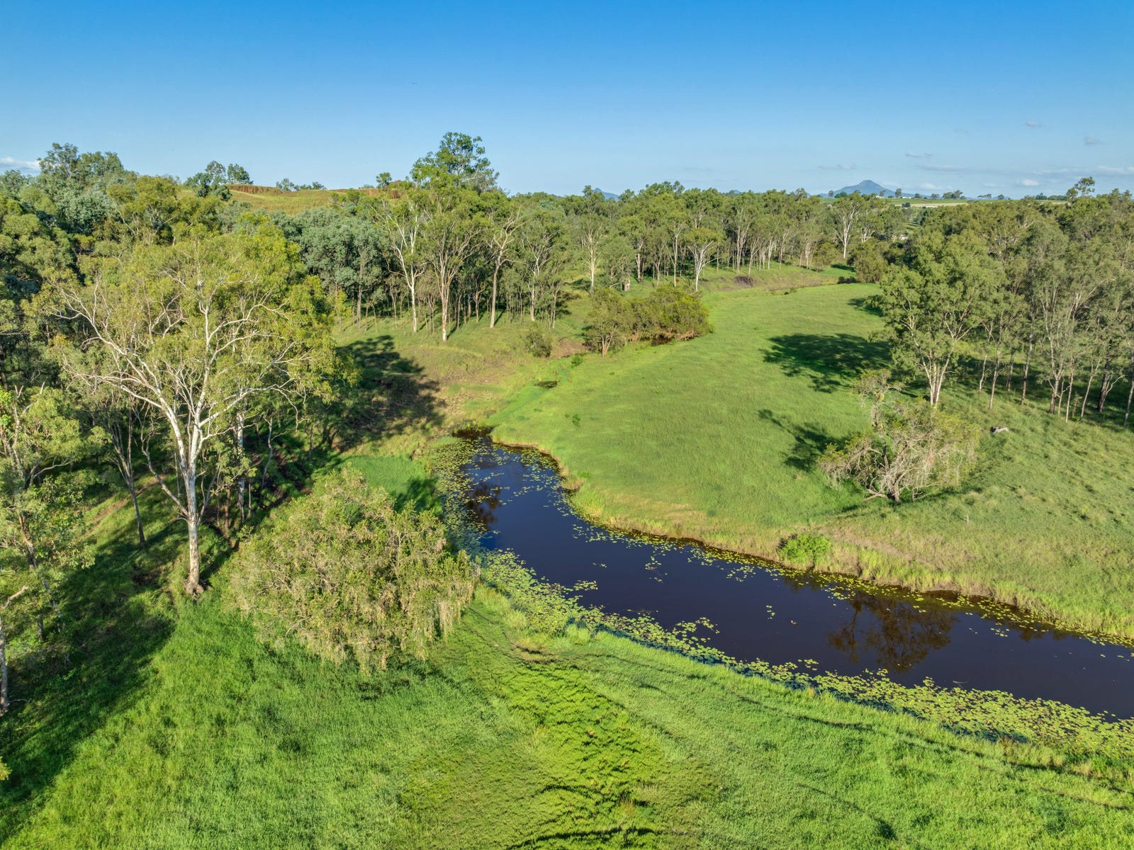 Farm For Sale in Mutdapilly, Qld 4307 | Lot 210 Sugarloaf Road