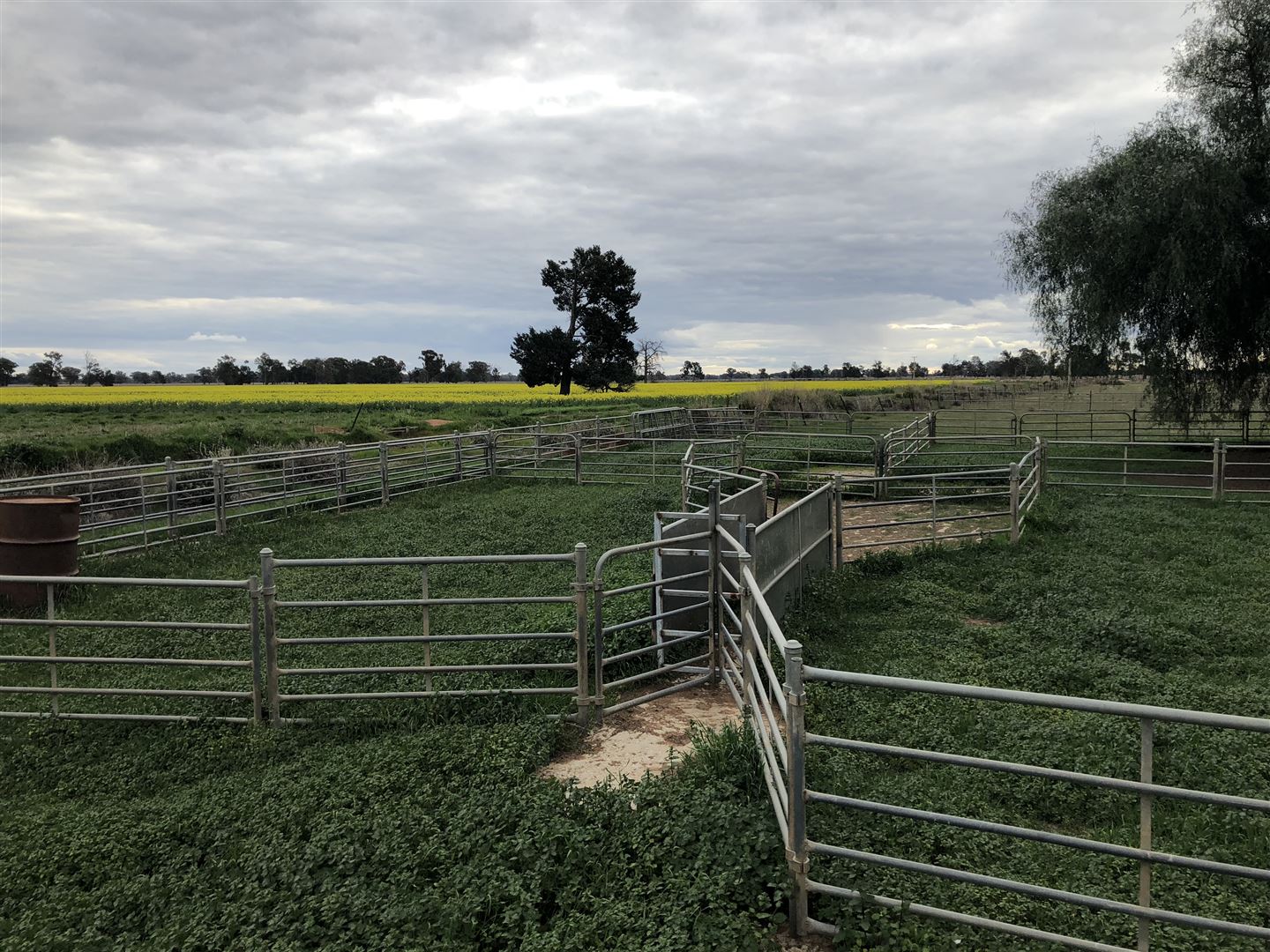 Farm For Sale in Blighty, NSW 2713 | . Reatta