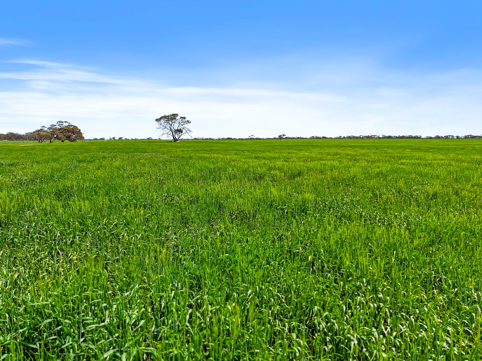 Farms For Sale in SA - View Current Farm Listings For Sale
