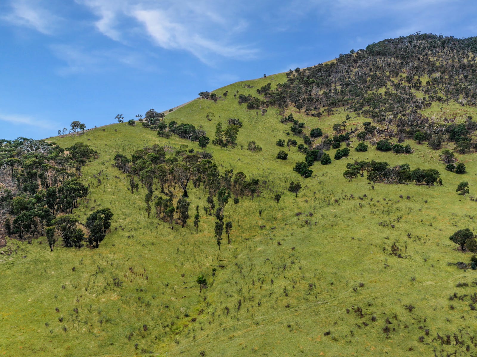 Farm For Sale in Elmhurst, Vic 3469