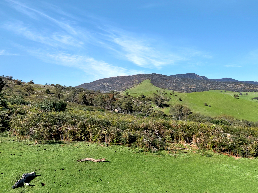 Farm For Sale in Elmhurst, Vic 3469