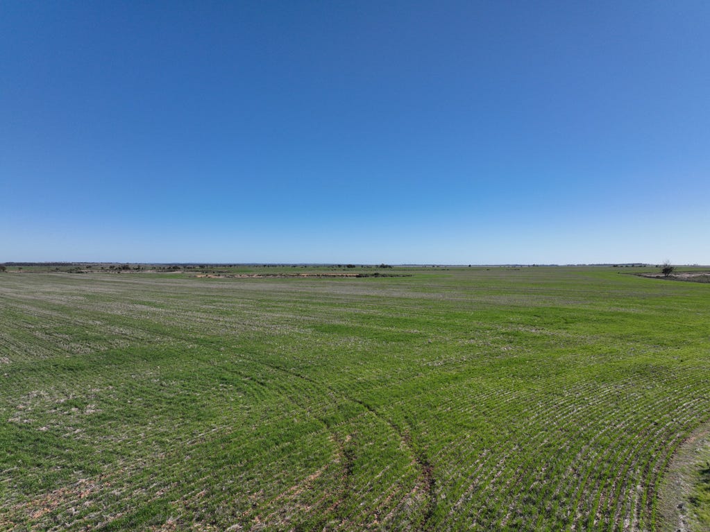 Farm For Sale in Pingrup, WA 6343 | 1345 Pingrup-lake Grace Road
