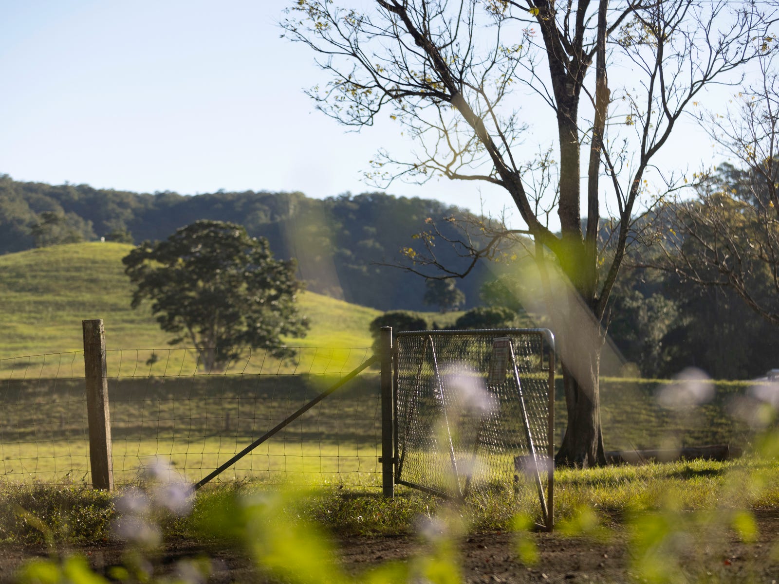 Farm For Sale in Peachester, Qld 4519 | 492 River Road