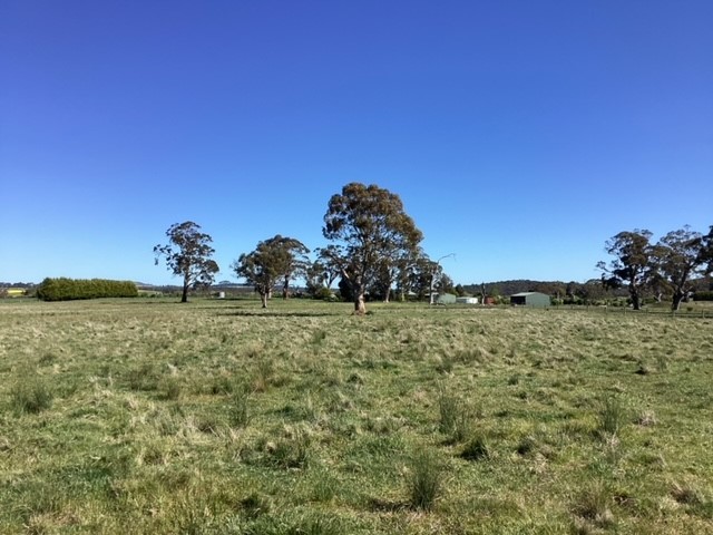 Farm For Sale in Springmount, Vic 3364 | 250 Sawmill Road