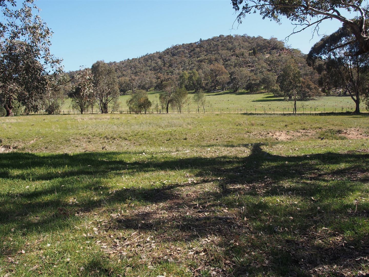 Farm For Sale in Thoona, Vic 3726 | 222 Sayers Rd