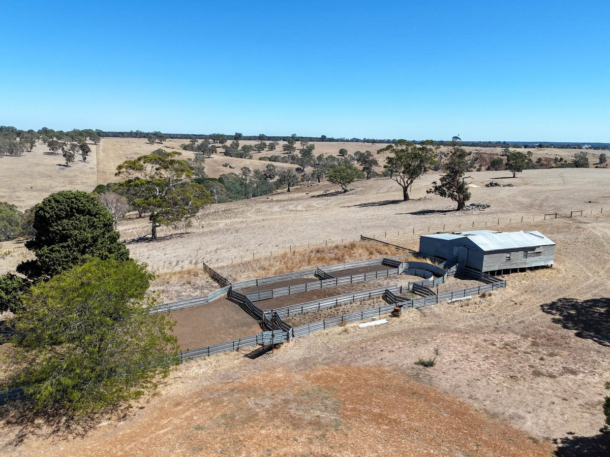 Farm For Sale in Culla, Vic 3315 | 3593 Nareen Road