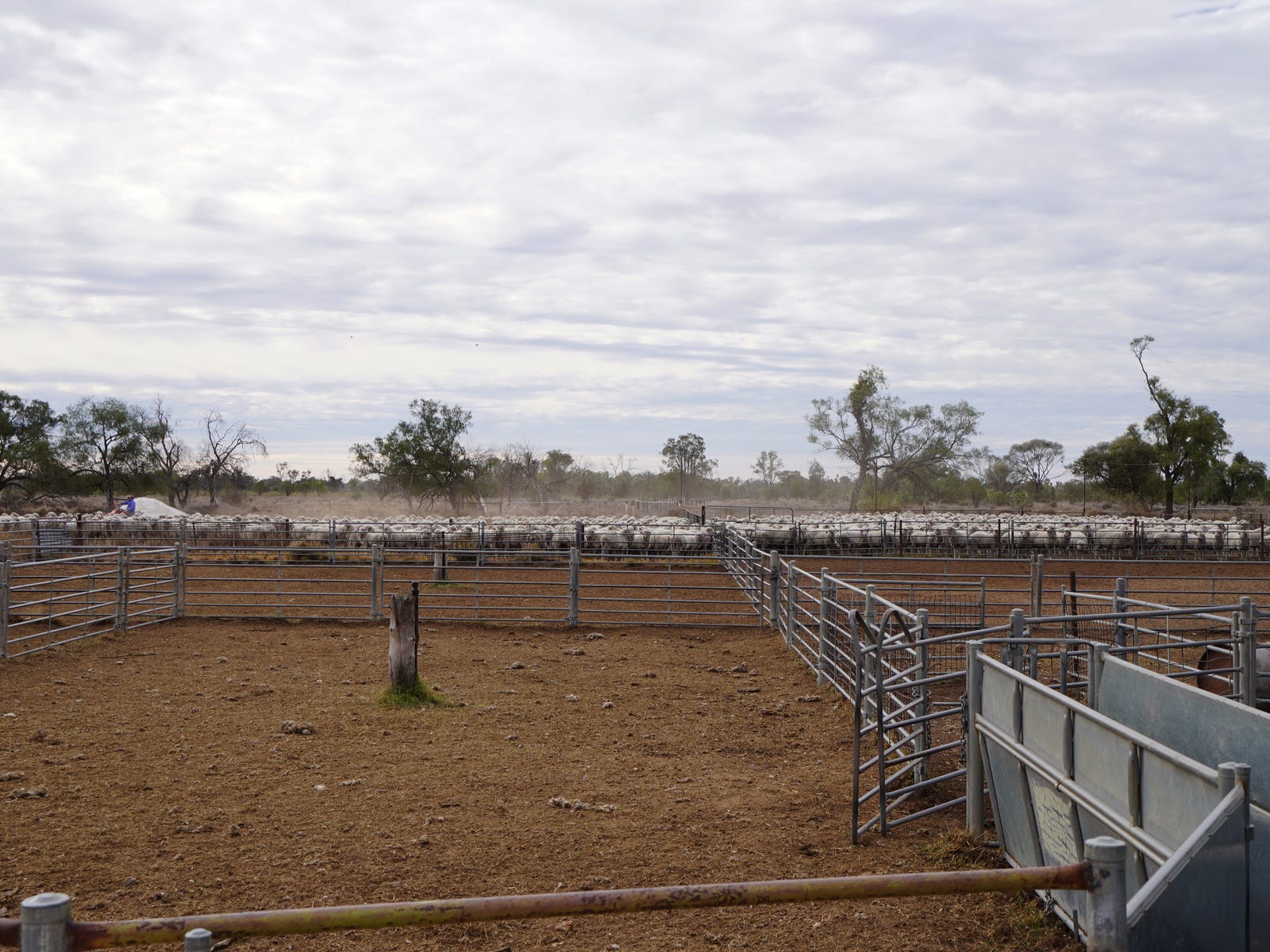 Farm For Sale in Boomi, NSW 2405 | Eural Aggregation